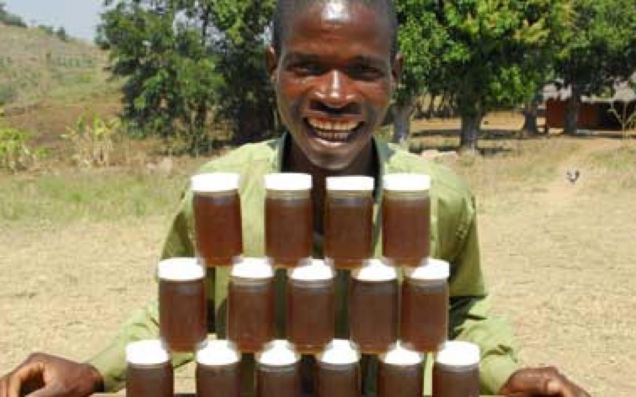 Malaui: La población de Chibalo obtiene beneficios de la apicultura por ...