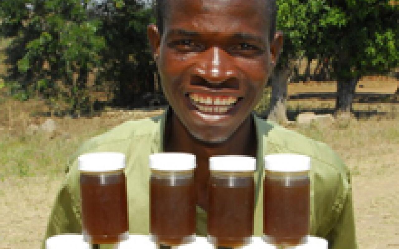 Malawi : l’apiculture profite doublement aux habitants de Chibalo ...