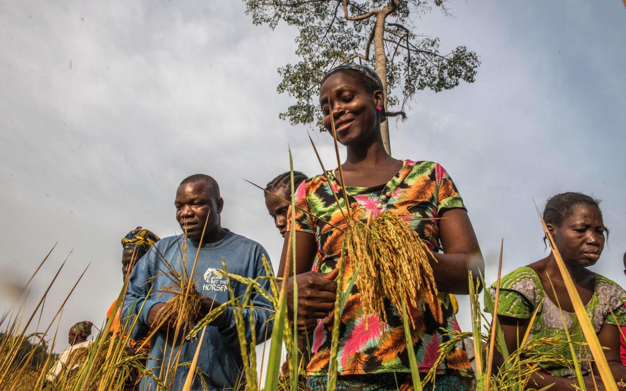 Secure and equitable land rights in the Post-2015 Agenda: A key issue ...