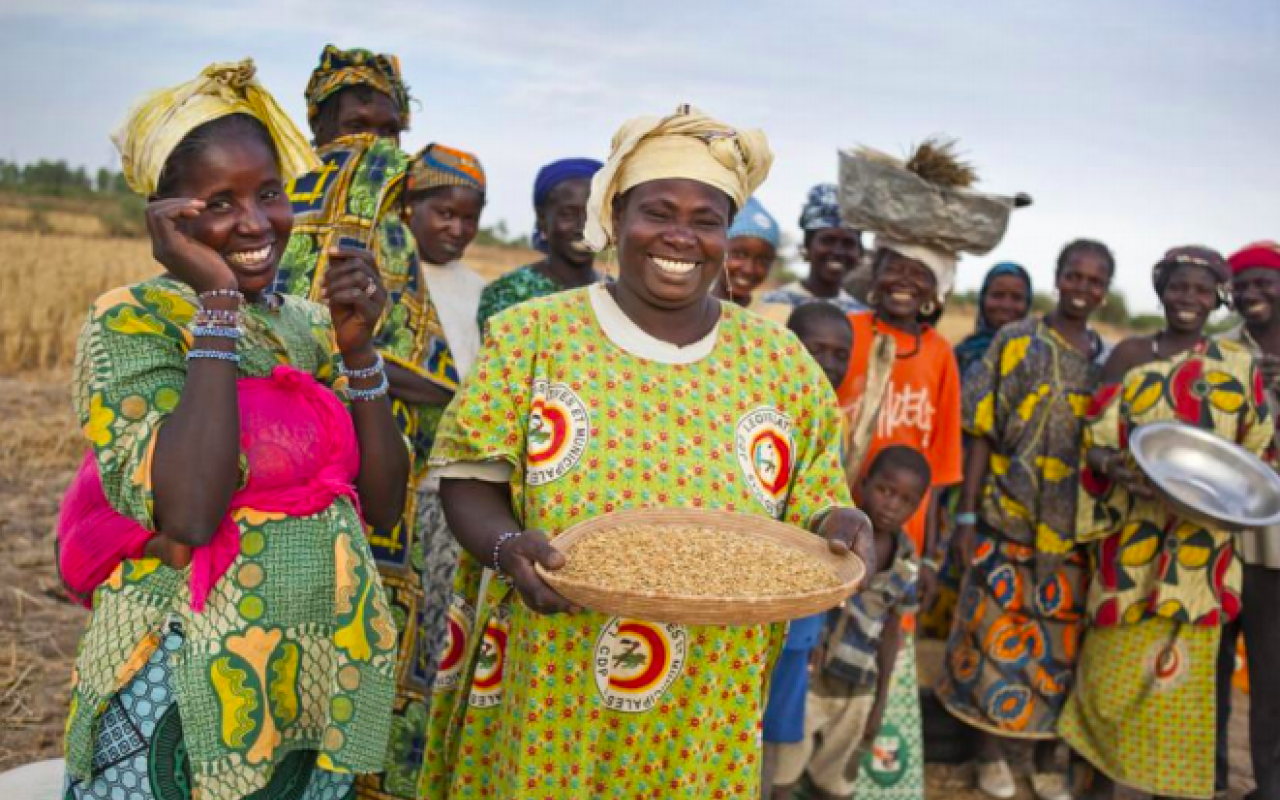 Mobilising domestic resources to help Mali’s poorest populations ...